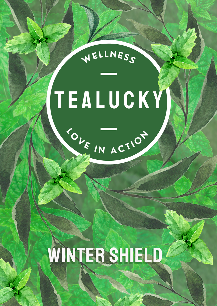 Winter Shield – TEALUCKY